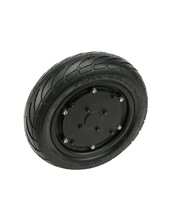 Wheel Hub Motor Assembly - Mini Pro